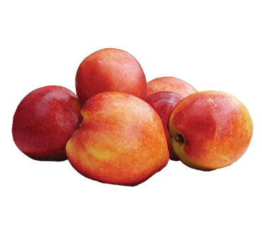 DiamondFreshFarmersMarket